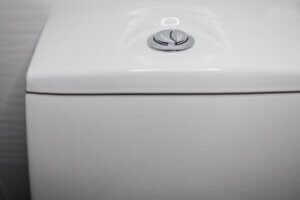 What to Know About Toilet Flushing & Water Usage – ToiletKing